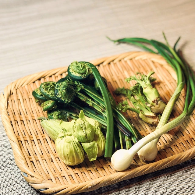 Sansai, Mushrooms, and Seaweed – HIS JAPAN PREMIUM FOOD&TRAVEL